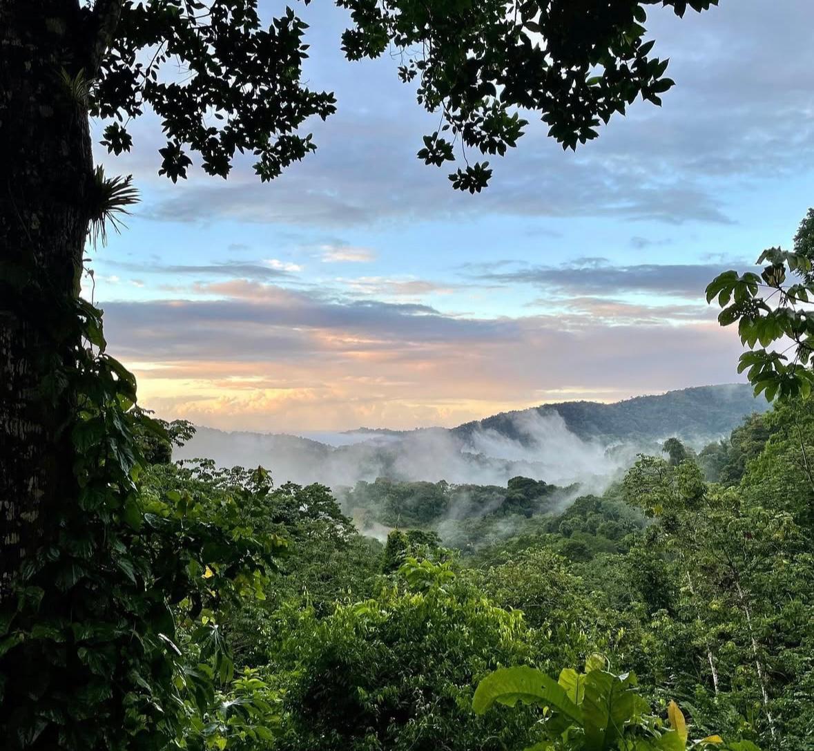 The Northern Range – Trinidad Swamps and Ranges