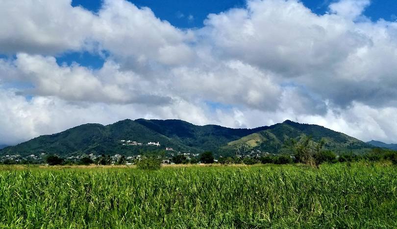 The Northern Range – Trinidad Swamps and Ranges