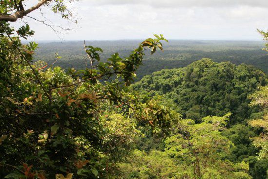 The Southern Range – Trinidad Swamps and Ranges